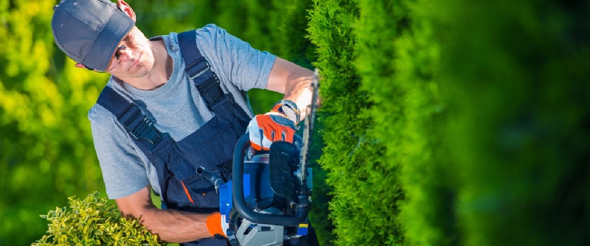 Leading Denver Landscape Companies! | Landscapers in Denver